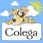 Colega - Actividades para explotación de las lecturas | Edelsa
